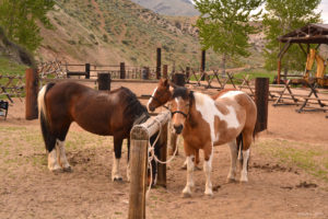 The Flying B Ranch – Flying Resort Ranches