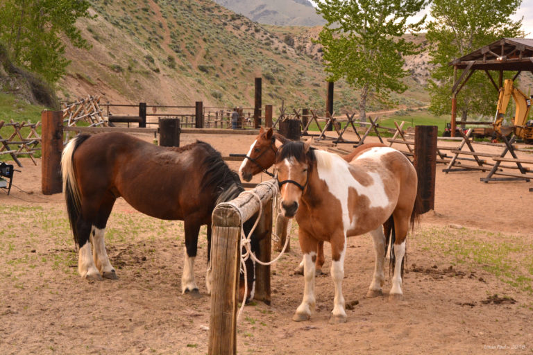 The Flying B Ranch – Flying Resort Ranches