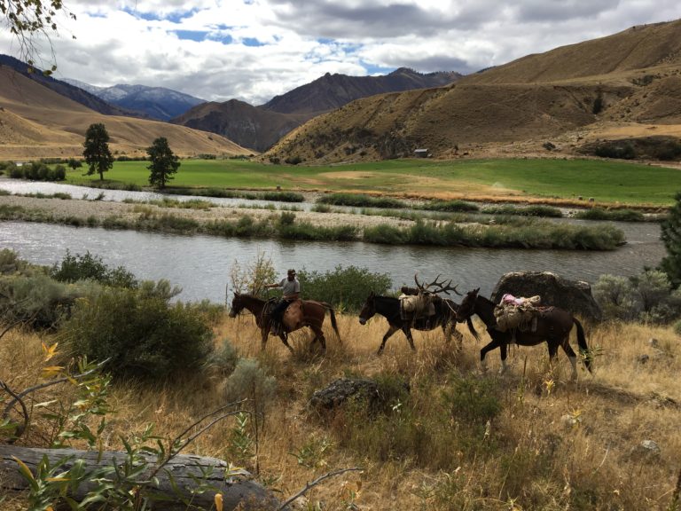 Hunting – Flying Resort Ranches