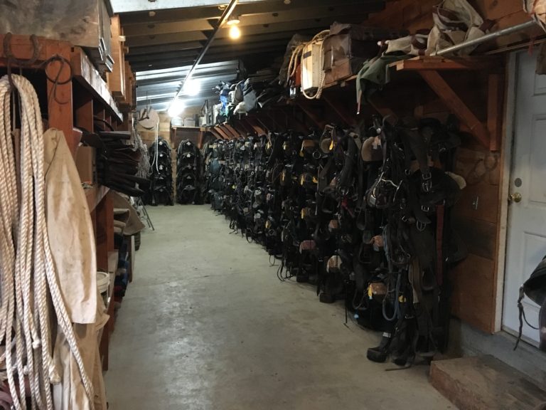 The Flying B Ranch – Flying Resort Ranches