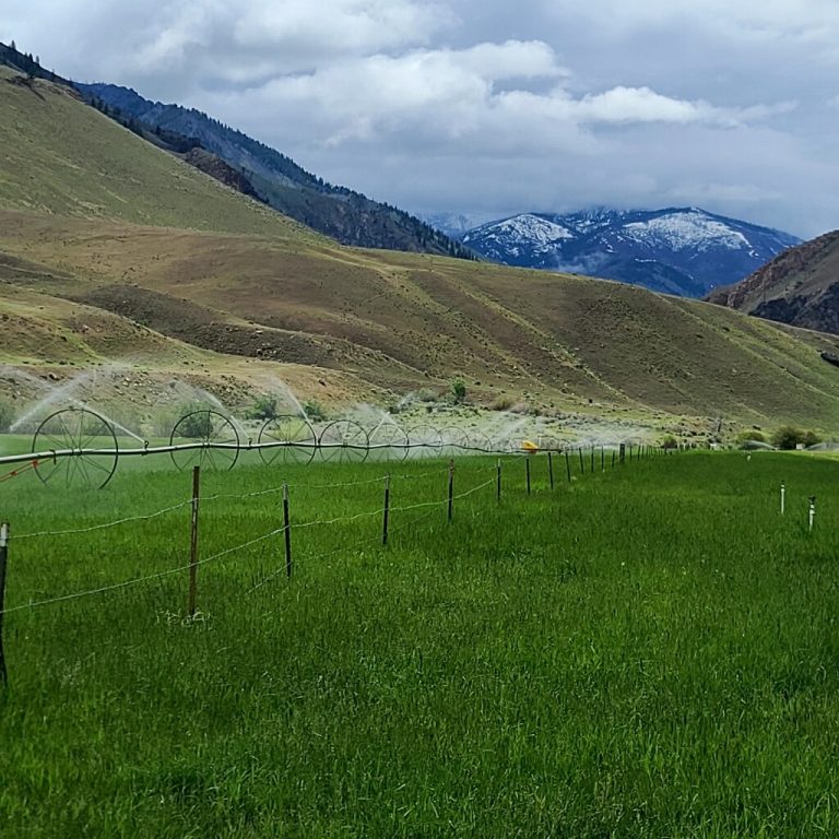 The Flying B Ranch – Flying Resort Ranches